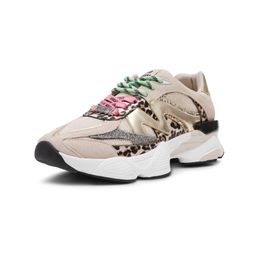 Steve Madden Damen Sneaker "Steve Madden Sneaker Lederimitat", Gr. 36, beige, Lederimitat, Schuhe