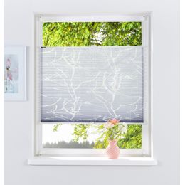 Plissee OTTO HOME, B:40cm H:130cm, grau, Obermaterial: 70% Viskose, 30% Polyester, Badezimmer, Plissees, "Anna", transparentes &Auml;stemotiv, Bestseller,