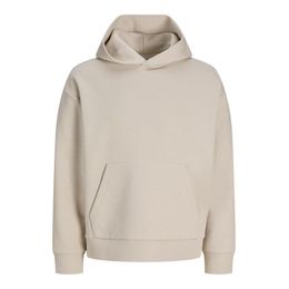 Jack & Jones Jack & Jones Sweatshirt JJEBARRON SWEAT HOOD in Beige | Gr.: L