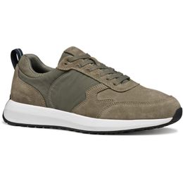 Geox U VOLPIANO Leder Herren Sneaker in Salbeigr&uuml;n