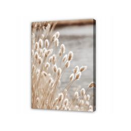 WALLARENA Leinwandbild Blumen in Beige | Gr.: 40 x 30 cm