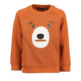 Blue Seven Jungen Sweater "Sweatshirt", orange, Gr. 134, 100% Baumwolle, Sweatshirts