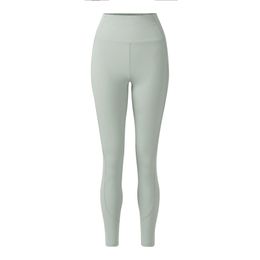 Dare 2b - "Power" Leggings f&uuml;r Damen (Gletschergr&uuml;n)