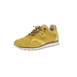 CETTI Sneaker low C-848 V25-26 in Gelb | Gr.: 47