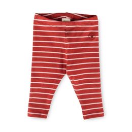Sigikid Leggings in rot | Gr.: 86