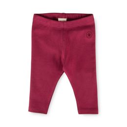 Sigikid Leggings in rot | Gr.: 92