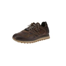 CETTI Sneaker low C-848 INV27 in Braun | Gr.: 47