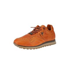 CETTI Sneaker low C-848 INV27 in Orange | Gr.: 41