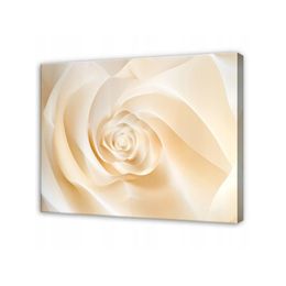 WALLARENA Leinwandbild Abstrakt in Beige | Gr.: 70 x 100 cm