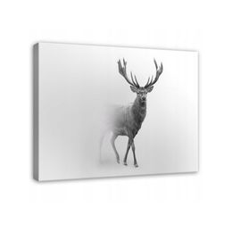 WALLARENA Leinwandbild Reh in Grau | Gr.: 40 x 30 cm