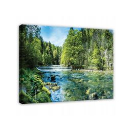 WALLARENA Leinwandbild Wald in Gr&uuml;n | Gr.: 60 x 40 cm