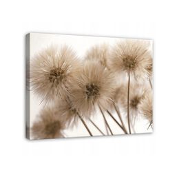 WALLARENA Leinwandbild Pusteblumen in Beige | Gr.: 60 x 40 cm