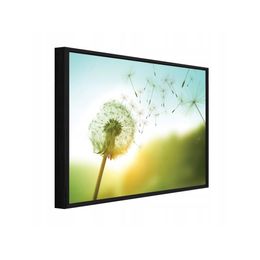 WALLARENA Bild mit Rahmen L&ouml;wenzahn in Gr&uuml;n | Gr.: 70 x 100 cm