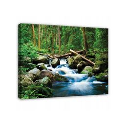 WALLARENA Leinwandbild Wald in Gr&uuml;n | Gr.: 120 x 80 cm