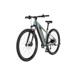FISCHER BIKE FISCHER FAHRRAD E-Bike "MONTIS 2.2 688 ACTIVE", 43cm, 29 Zoll (73,66cm)gr&uuml;n, Elektrofahrr&auml;der