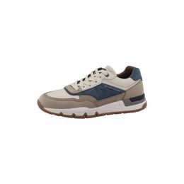 Tom Tailor Sneaker Herren Gr&ouml;&szlig;e 43 ecru / enzian / taupe
