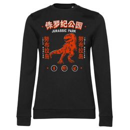 Jurassic Park Pullover in Schwarz | Gr.: L