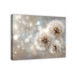 WALLARENA Wandbild Pusteblumen in Beige | Gr.: 70 x 100 cm
