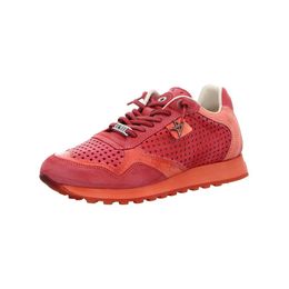 CETTI Sneaker in rot | Gr.: 43