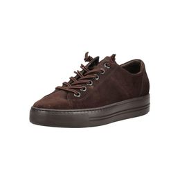 Paul Green Sneaker in Cacao | Gr.: 37,5