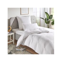 Traumschlaf Bettw&auml;sche Delya Uni Musselin in weiss | Gr.: 240x220 (2x 80x80 cm)