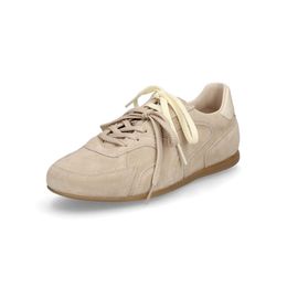 Gant Footwear Sneaker Sperly in Taupe | Gr.: 39