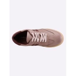 Andrea Conti Sneaker in mauve-bordeaux | Gr.: 40