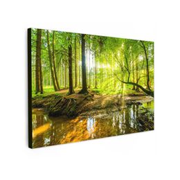 OnlyWow Leinwand Bilder Waldlicht | Gr.: 30 x 20 cm
