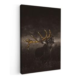 OnlyWow Leinwand Bilder Hirsch | Gr.: 20 x 30 cm