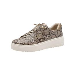 Marco Tozzi Sneaker in DUNE STRUCTURE | Gr.: 37