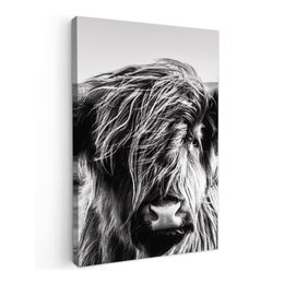 OnlyWow Leinwand Bilder Schottisches Hochlandrind | Gr.: 90 x 140 cm