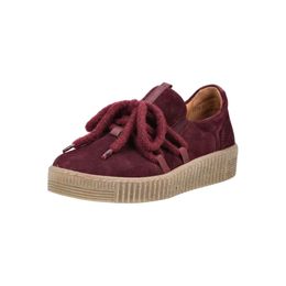 Gabor Sneaker in Lila | Gr.: 43
