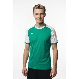 Puma Herren Fu&szlig;balltrikot "TEAMLIGA26 MATCHDAY JERSEY", gr&uuml;n, Gr. L, unifarben, Interlock, Obermaterial: 100% Polyester, Trikots, mit