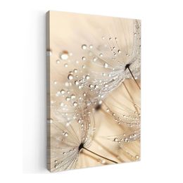 OnlyWow Leinwand Bilder Tropfen | Gr.: 20 x 30 cm