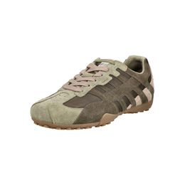 Geox Sneaker SNAKE in Gr&uuml;n | Gr.: 47
