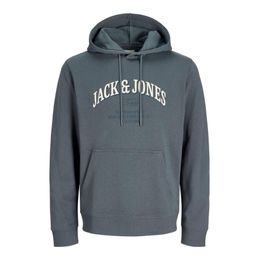 Jack & Jones Jack & Jones Sweatshirt JJEDENVER LOGO SWEAT HOOD in Grau | Gr.: M