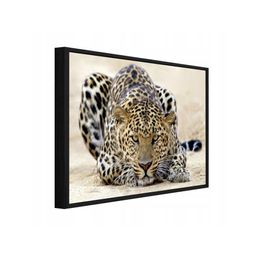 WALLARENA Bild mit Rahmen Lampard in Beige | Gr.: 40 x 30 cm