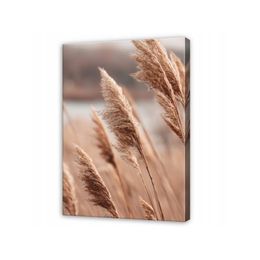 WALLARENA Leinwandbild Pampasgras in Braun | Gr.: 40 x 30 cm