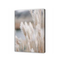 WALLARENA Leinwandbild Pampasgras in Beige | Gr.: 40 x 30 cm
