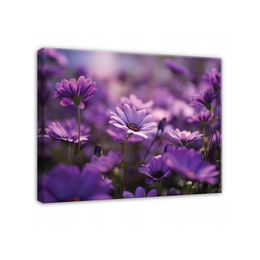 WALLARENA Leinwandbild Blumen in Lila | Gr.: 120 x 80 cm