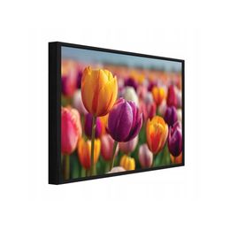 WALLARENA Bild mit Rahmen Blumen in Bunt | Gr.: 40 x 30 cm