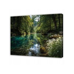 WALLARENA Leinwandbild Wald in Gr&uuml;n | Gr.: 60 x 40 cm