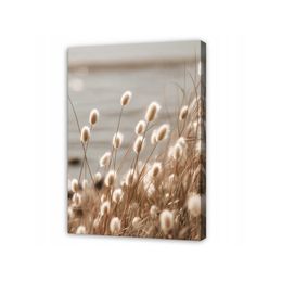 WALLARENA Leinwandbild Blumen in Beige | Gr.: 60 x 40 cm