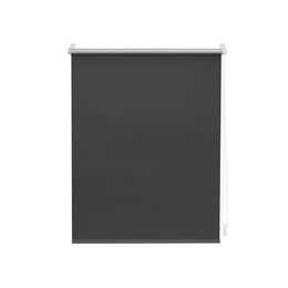 LICHTBLICK Seitenzugrollo in Anthrazit | Gr.: 95 x 150 cm