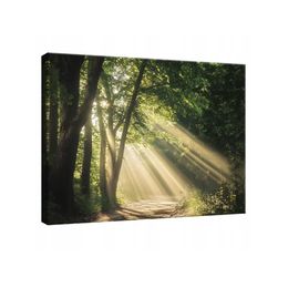 WALLARENA Leinwandbild Wald in Gr&uuml;n | Gr.: 40 x 30 cm