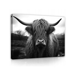 WALLARENA Leinwandbild Schottische Kuh in Grau | Gr.: 60 x 40 cm