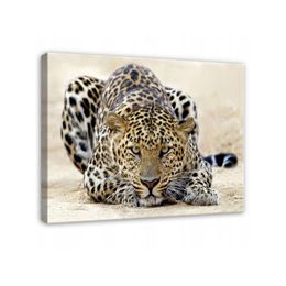 WALLARENA Leinwandbild Lampard in Beige | Gr.: 40 x 30 cm