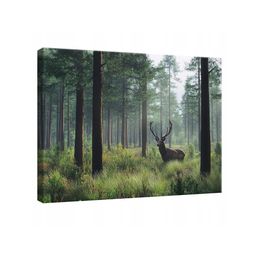 WALLARENA Leinwandbild Wald in Gr&uuml;n | Gr.: 70 x 100 cm