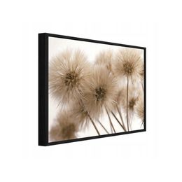 WALLARENA Bild mit Rahmen Pusteblumen in Beige | Gr.: 40 x 30 cm