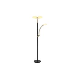 Globo Lighting Deckenfluter schwarz Ma&szlig;e (cm): B: 40,5 H: 183 &raquo; H&ouml;ffner